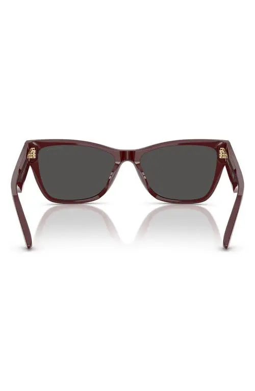 JIMMY CHOO 55mm Pillow Sunglasses - Red