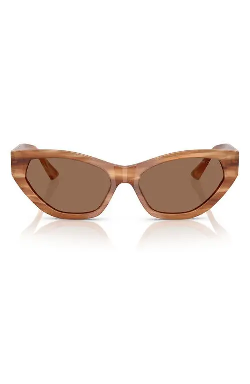 JIMMY CHOO 55mm Cat Eye Sunglasses - Brown Havana