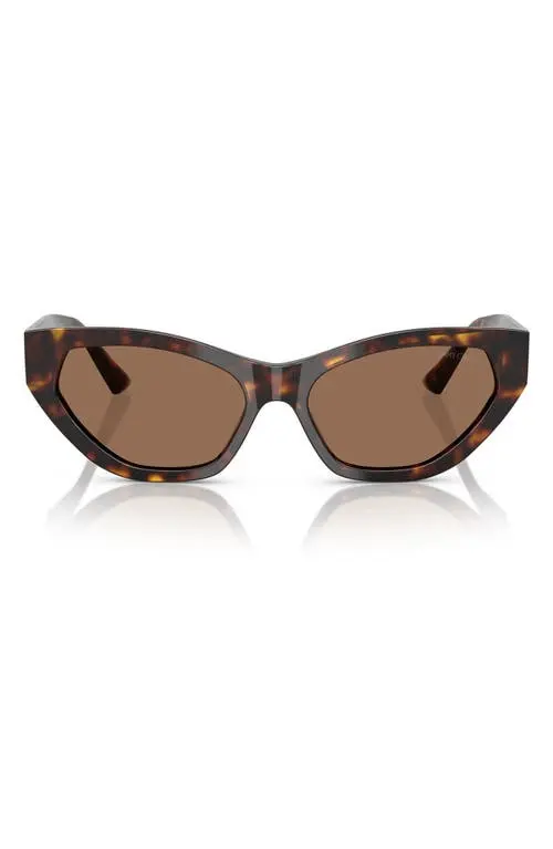 JIMMY CHOO 55mm Cat Eye Sunglasses - Havana