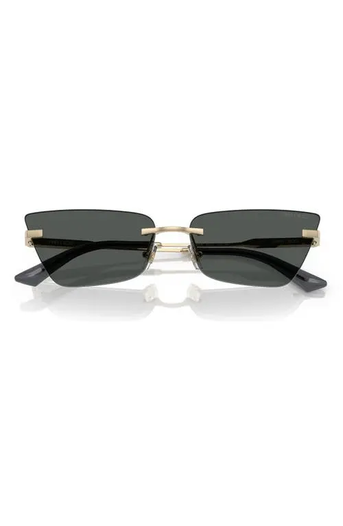 JIMMY CHOO 60mm Cat Eye Sunglasses - Pale Gold