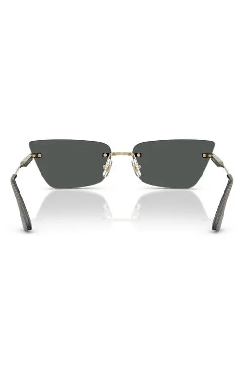 JIMMY CHOO 60mm Cat Eye Sunglasses - Pale Gold