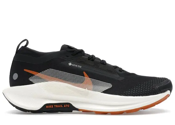 Nike Pegasus Trail 5 Gore-tex Sneakers - Off Noir/black/monarch