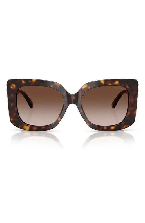 JIMMY CHOO 54mm Butterfly Sunglasses - Havana