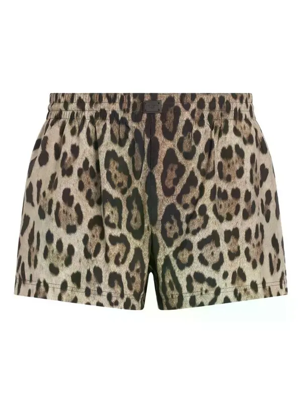 Dolce & Gabbana Leopard-print Swim Shorts - Neutrals