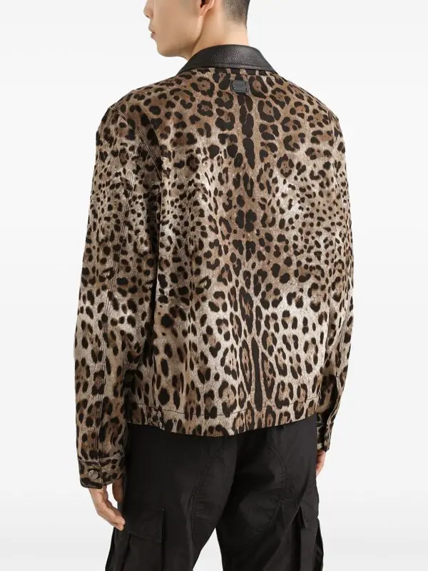 Dolce & Gabbana Leopard-print Bomber Jacket - Brown