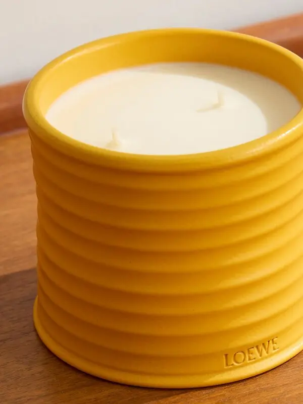 LOEWE PERFUMES Wasabi Medium Scented Candle, 610g