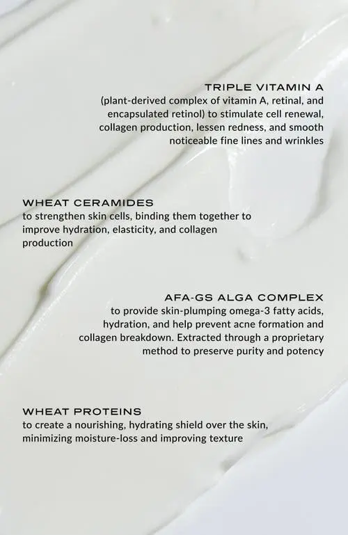 WYLYS Nightinol Cream & Sage Verte Makeup Bag - None