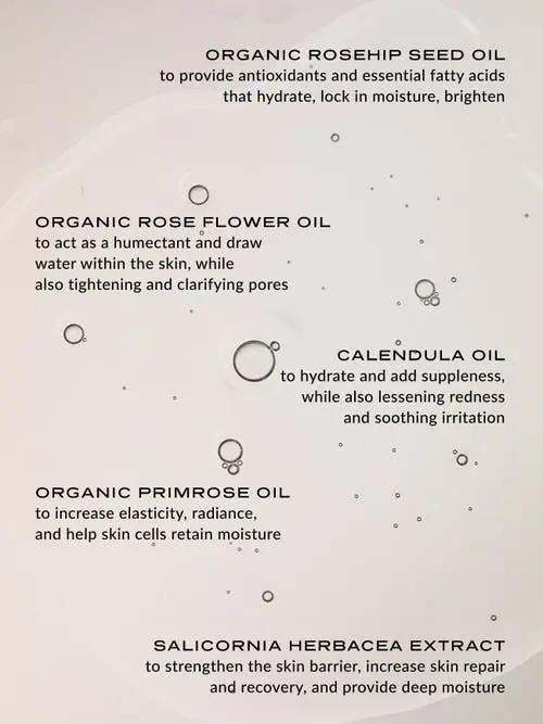 WYLYS The Illuminate + Sculpt Skin Care Set