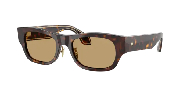Giorgio Armani Sunglasses - Brown