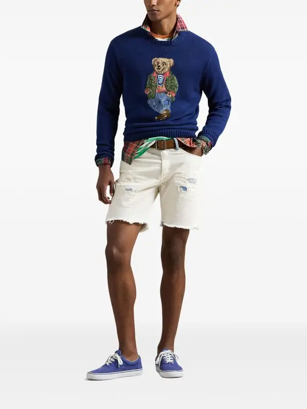 Polo Ralph Lauren Polo Bear Knit Sweater