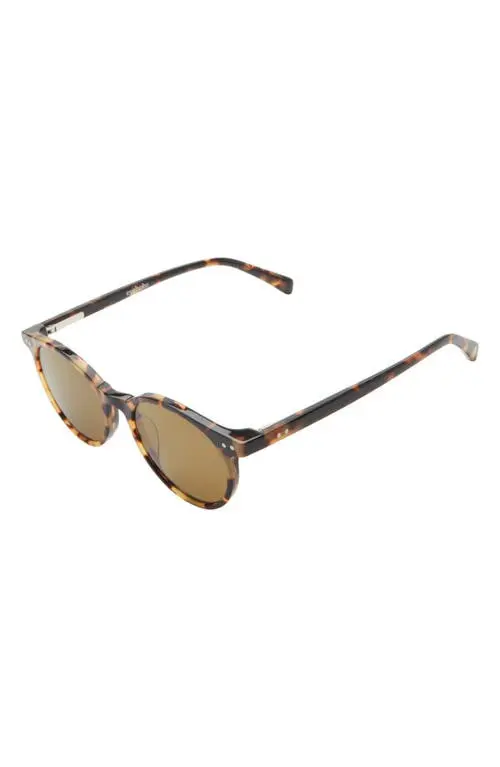 Eyebobs Case Closed 48mm Round Sunglasses - Tortoise