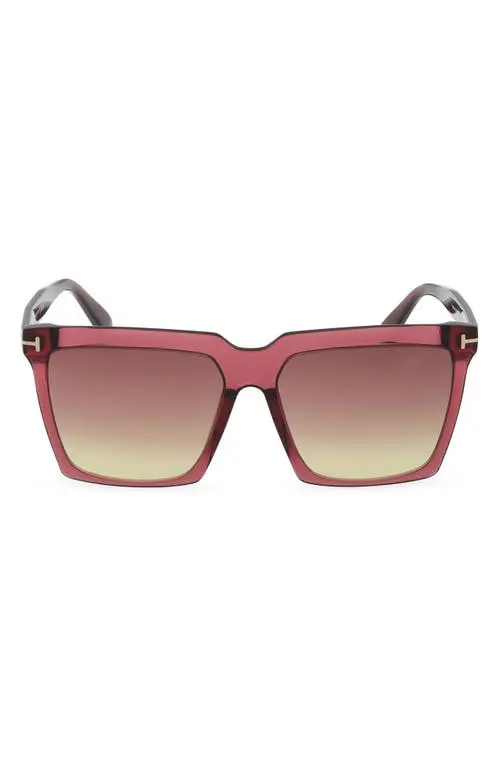 TOM FORD Sabrina 58mm Square Sunglasses - Bordeaux / T Logo / Sunset