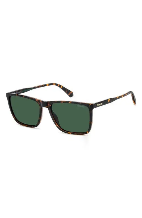 POLAROID 58mm Polarized Rectangular Sunglasses - Havana/ Green Polar