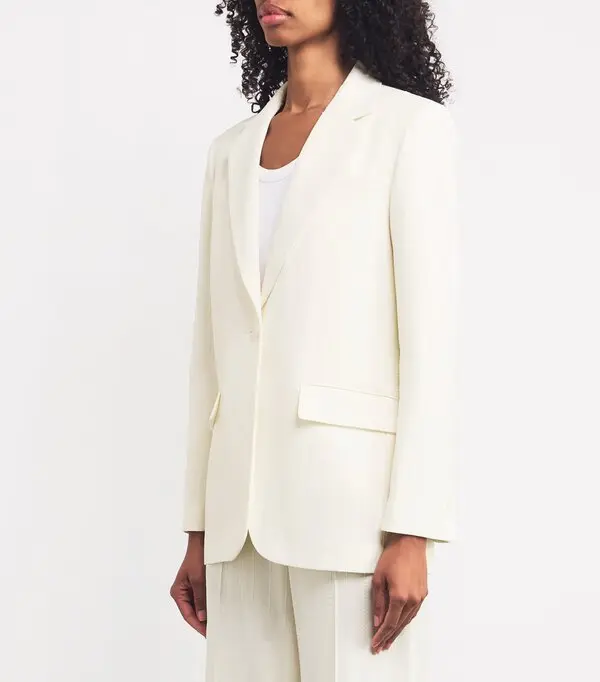 Sandro Sequin Stripe Blazer