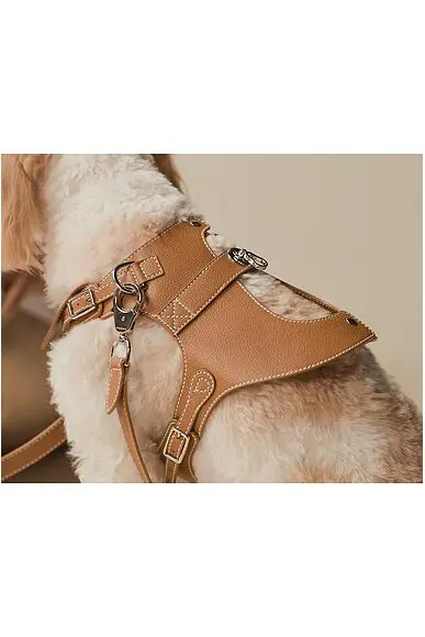 PAGERIE The Colombo Harness