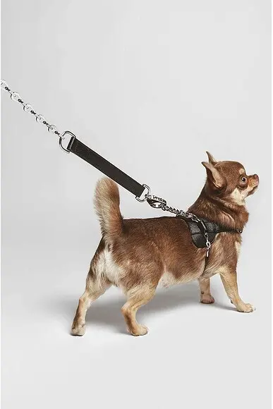PAGERIE The Ox Leash