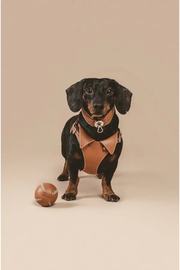 PAGERIE The Dorro Collar In Brown
