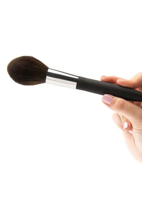 OMNIA BRUSH Pro Pointed Blush Makeup Brush