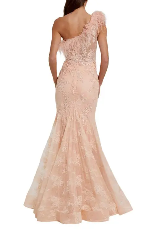 Mac Duggal One-shoulder Feather Embellished Gown