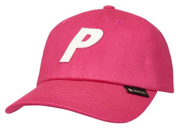 PALACE Gore-tex Pigment P 6-panel