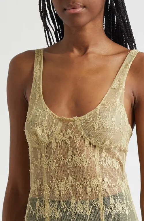 Collina Strada Pamela Sheer Lace Slipdress