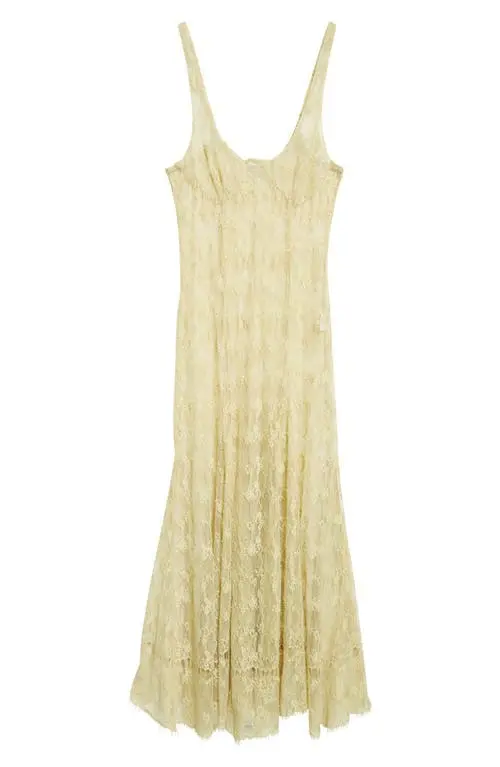 Collina Strada Pamela Sheer Lace Slipdress