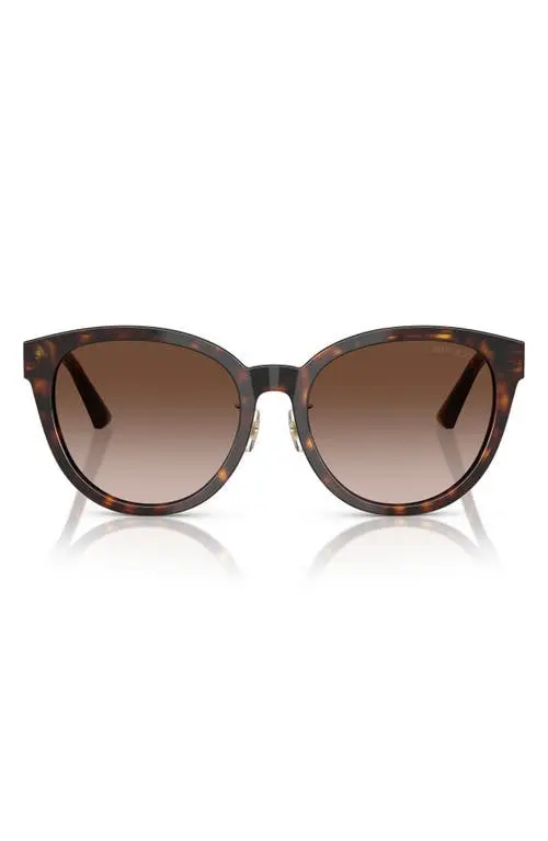JIMMY CHOO 55mm Phantos Sunglasses - Havana