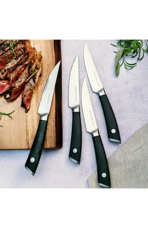 VIETRI Coltelli 4-piece Stainless Steel Steak Knife Set