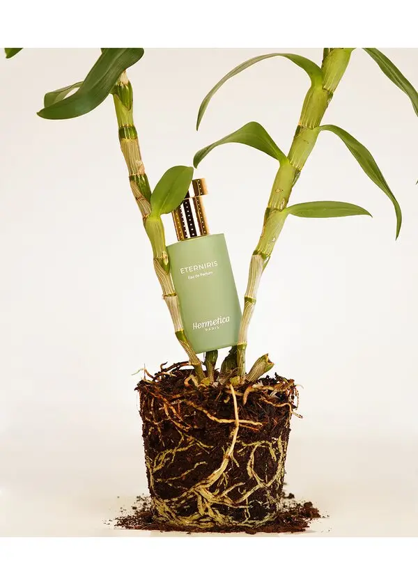 HERMETICA Eterniris Eau De Parfum