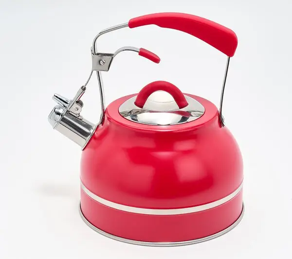 AARTI SEQUEIRA 2.3-qt Stovetop Tea Kettle W/ Silicone Handle - One-color