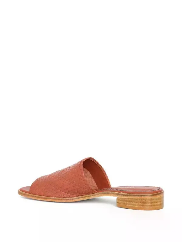 STUDIO CHOFAKIAN Trama Slides - Brown