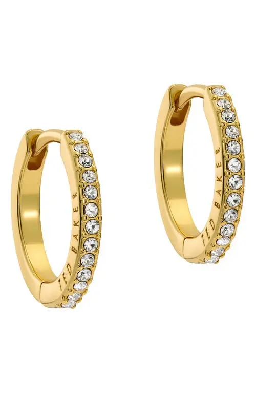 Ted Baker London Heplie Pavé Hoop Earrings - Gold Tone/ Clear Crystal