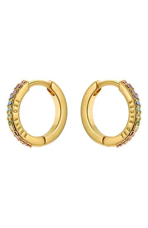Ted Baker London Heplie Pavé Hoop Earrings - Gold Tone/ Rainbow Crystal