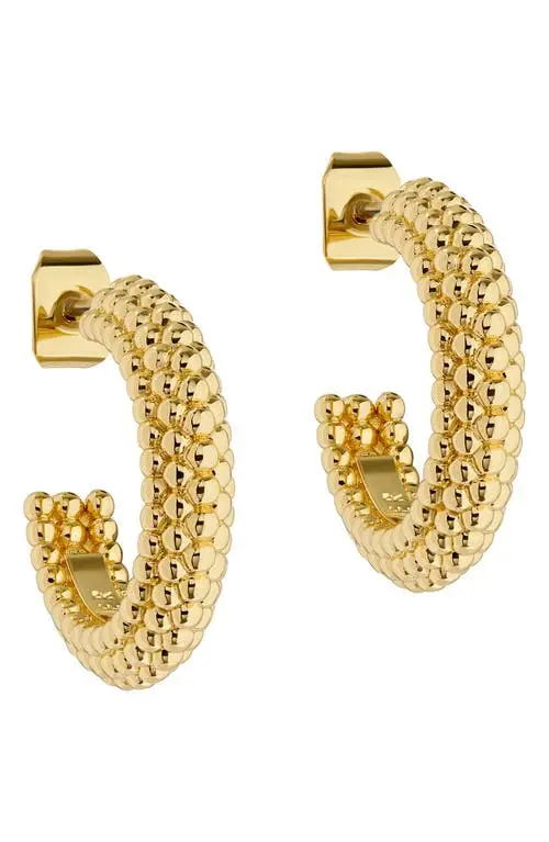 Ted Baker London Dotetta Hoop Earrings - Gold Tone