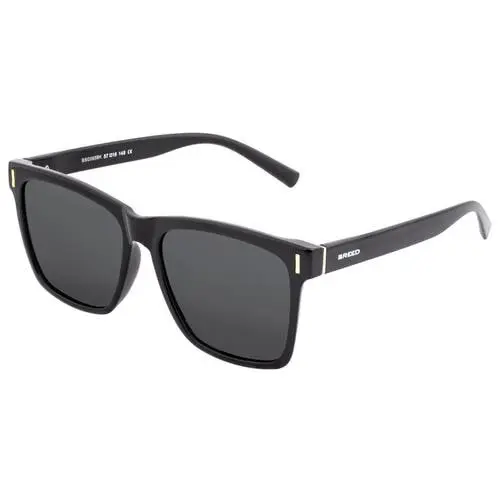 BREED Pictor Polarized Sunglasses - Black/black