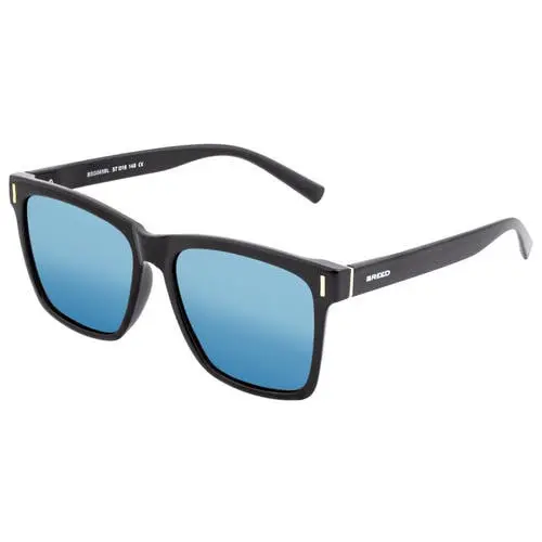 BREED Pictor Polarized Sunglasses - Black/blue