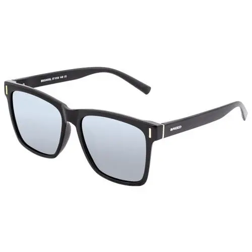 BREED Pictor Polarized Sunglasses - Black/silver