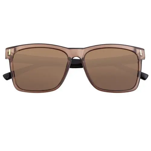 BREED Pictor Polarized Sunglasses - Brown/black