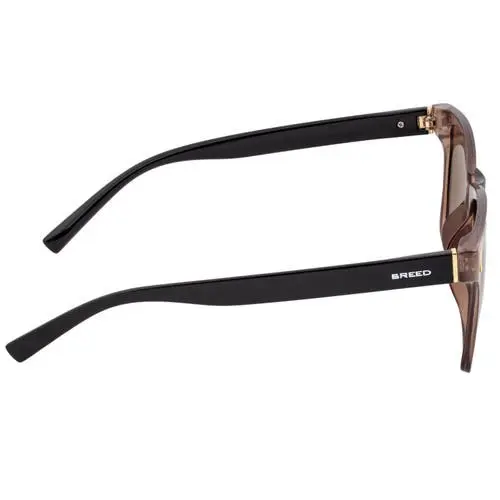BREED Pictor Polarized Sunglasses - Brown/black