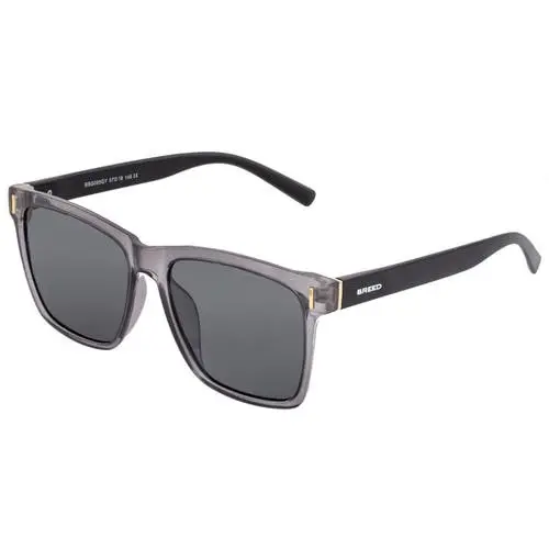 BREED Pictor Polarized Sunglasses - Grey/black
