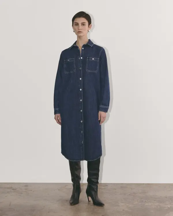 Everlane Denim Shirt Dress