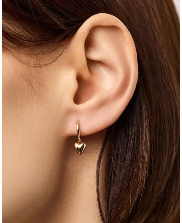 ANA LUISA Solid Heart Drop Earrings