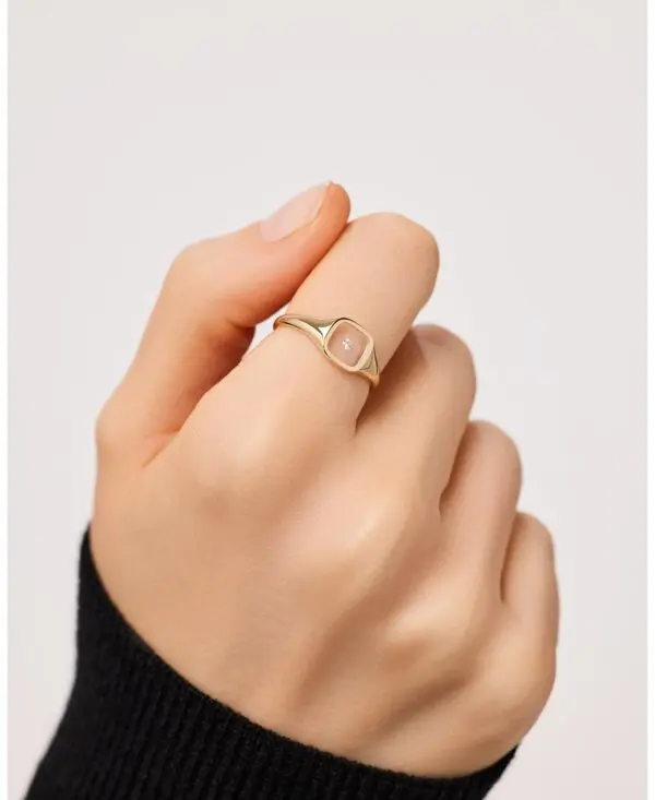 ANA LUISA Solid Signet Ring With Lab-grown Diamond