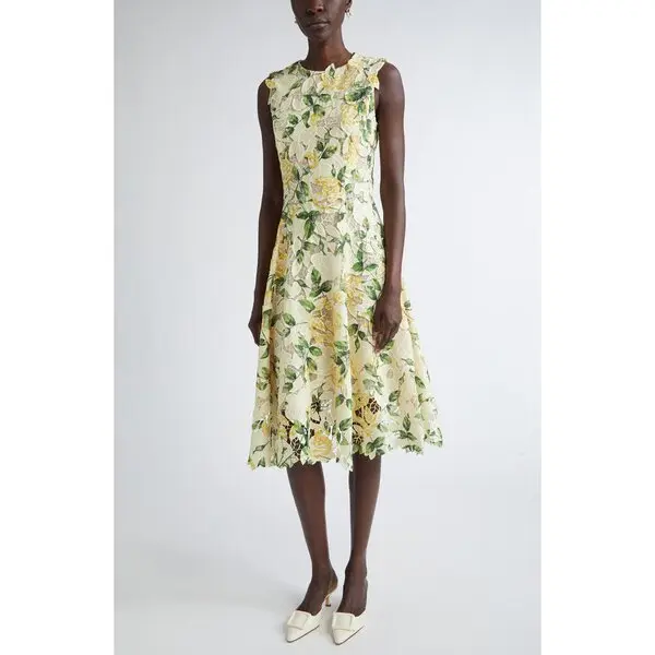 Oscar De La Renta English Rose Guipure Lace Fit & Flare Dress - Yellow/soft Yellow