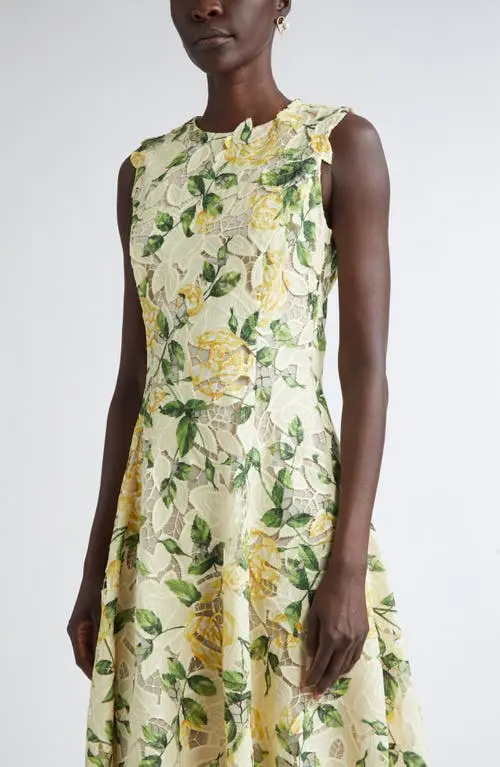 Oscar De La Renta English Rose Guipure Lace Fit & Flare Dress - Yellow/soft Yellow