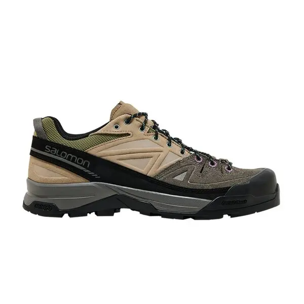 SALOMON X-alp Leather Shoes