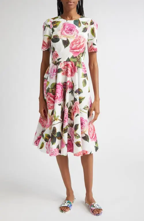 Dolce & Gabbana Rose Print Fit & Flare Dress - Rose Rosa Floral.bianco