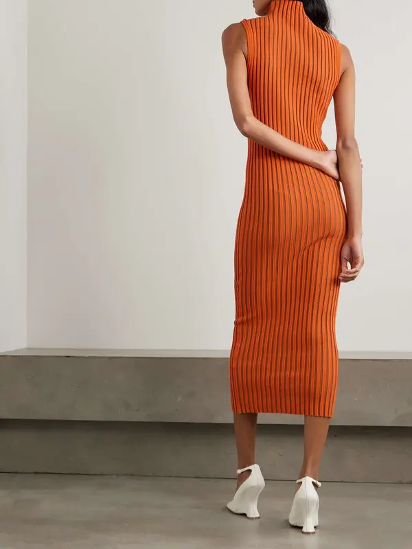 DESTREE Chen Bico Ribbed Two-tone Midi Dress