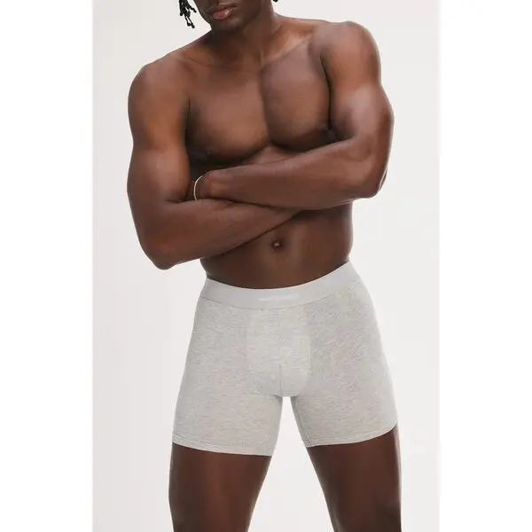 SAVAGE X FENTY Boxer Briefs - Platinum Grey