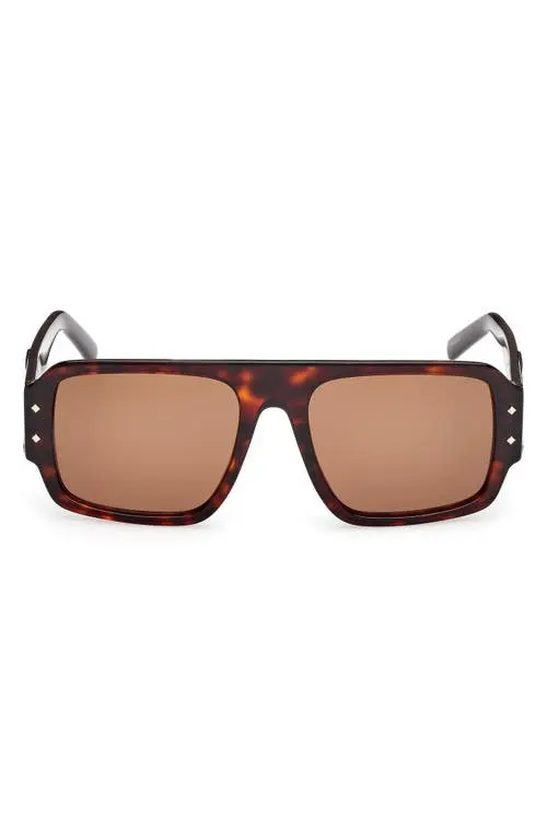 Mcm 55mm Polarized Navigator Sunglasses - Dark Havana / Brown